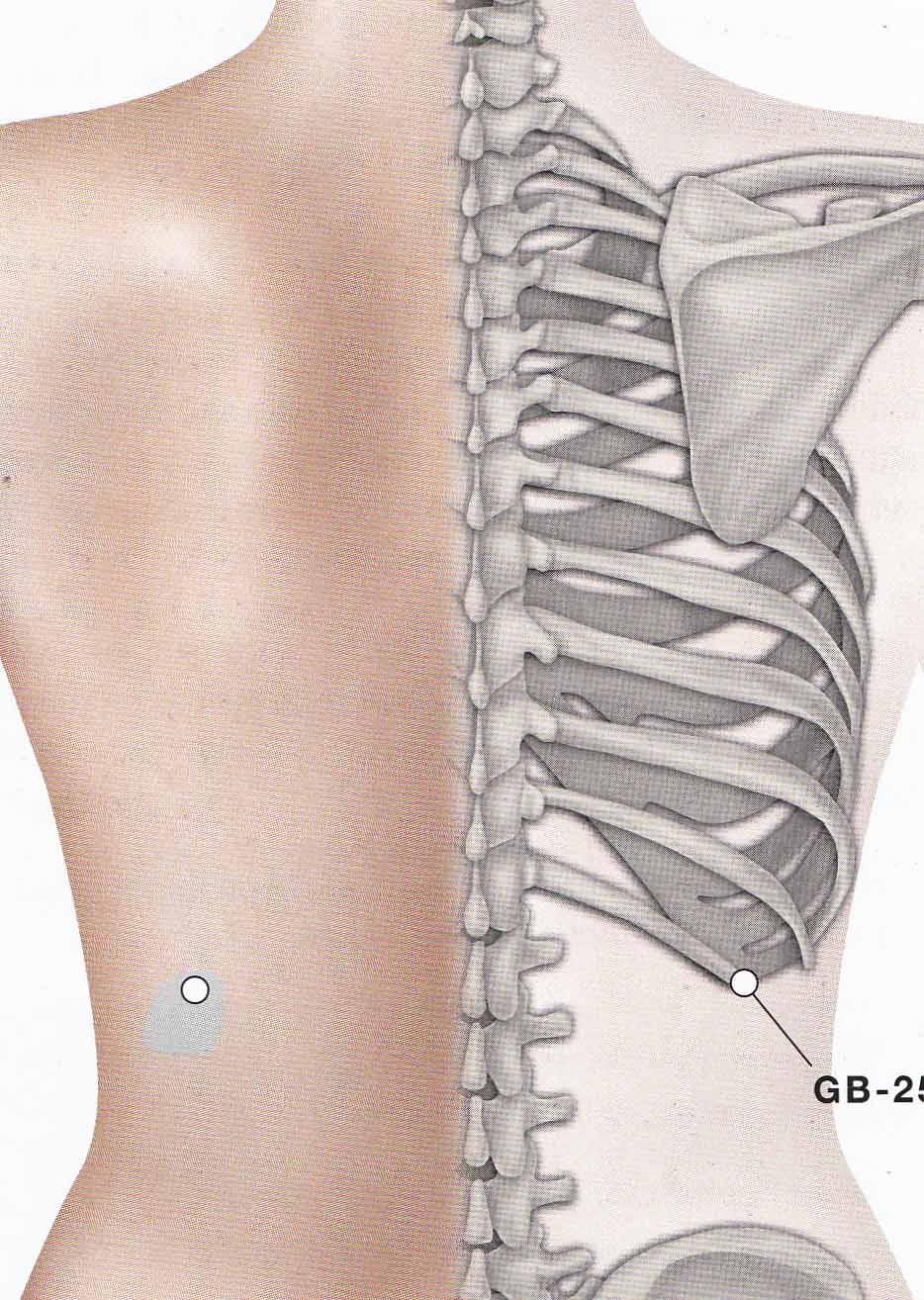 GB 25 Five Element Acupressure GB 25 Five Element Acupressure