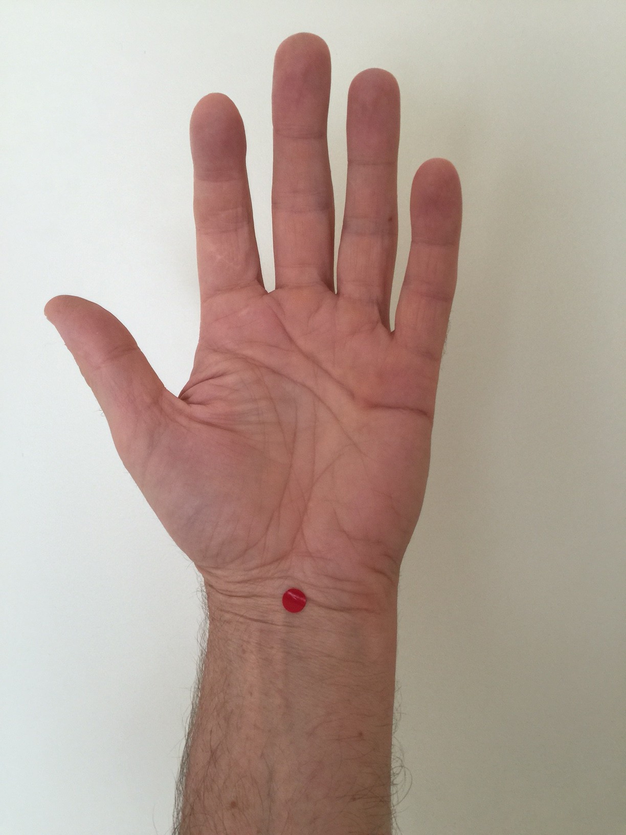 A dyslexic guy walks into a bra | Five Element Acupressure