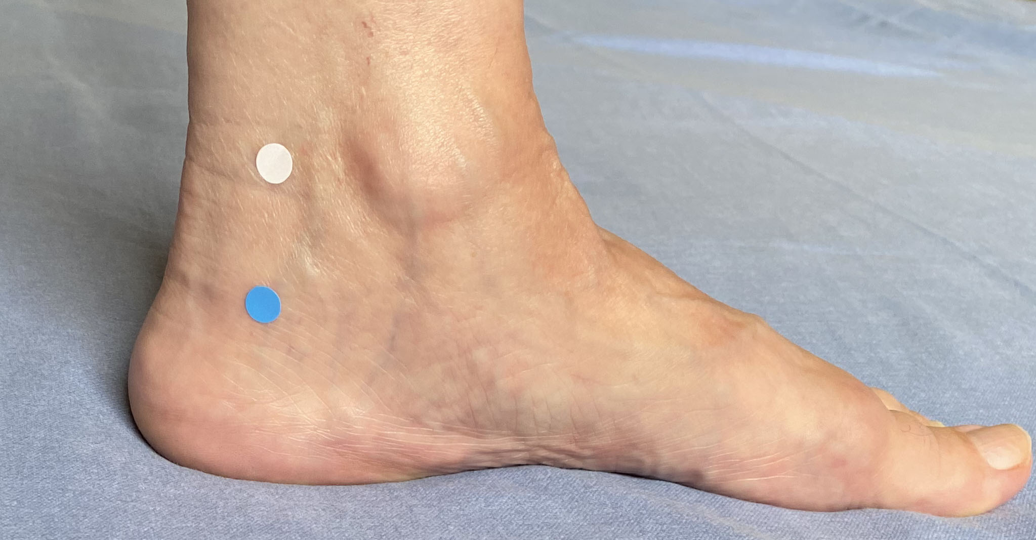 Kidney | Five Element Acupressure