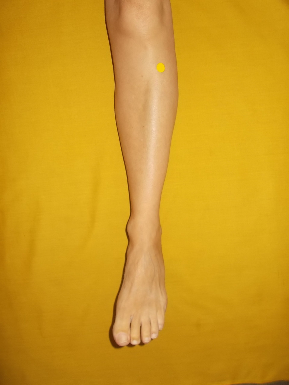 grounding | Five Element Acupressure