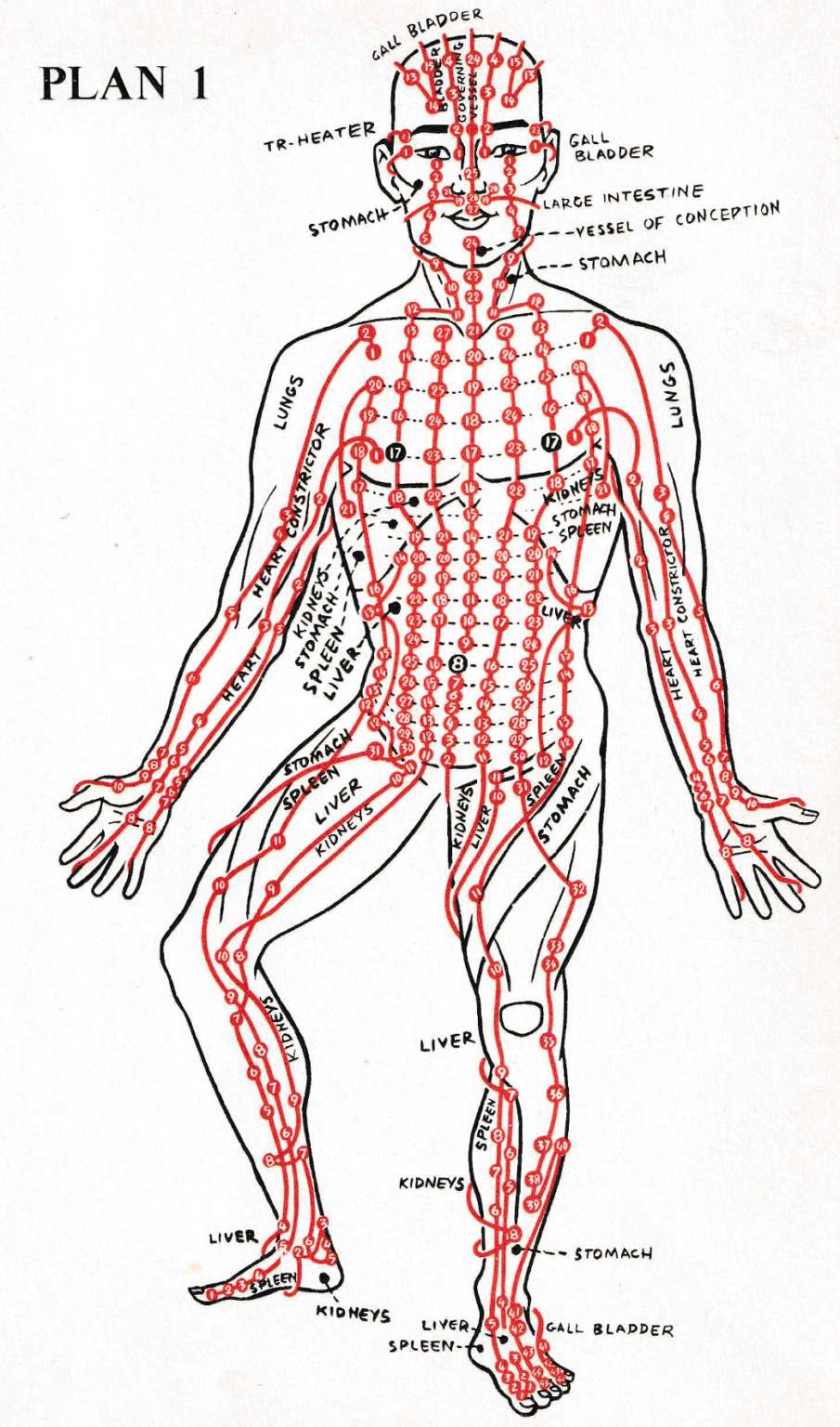 Five Element Acupressure | Energy work that heals body mind and spirit